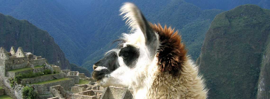 Ecuador, Peru, Chile & Argentina Trip Reviews | Knowmad Adventures